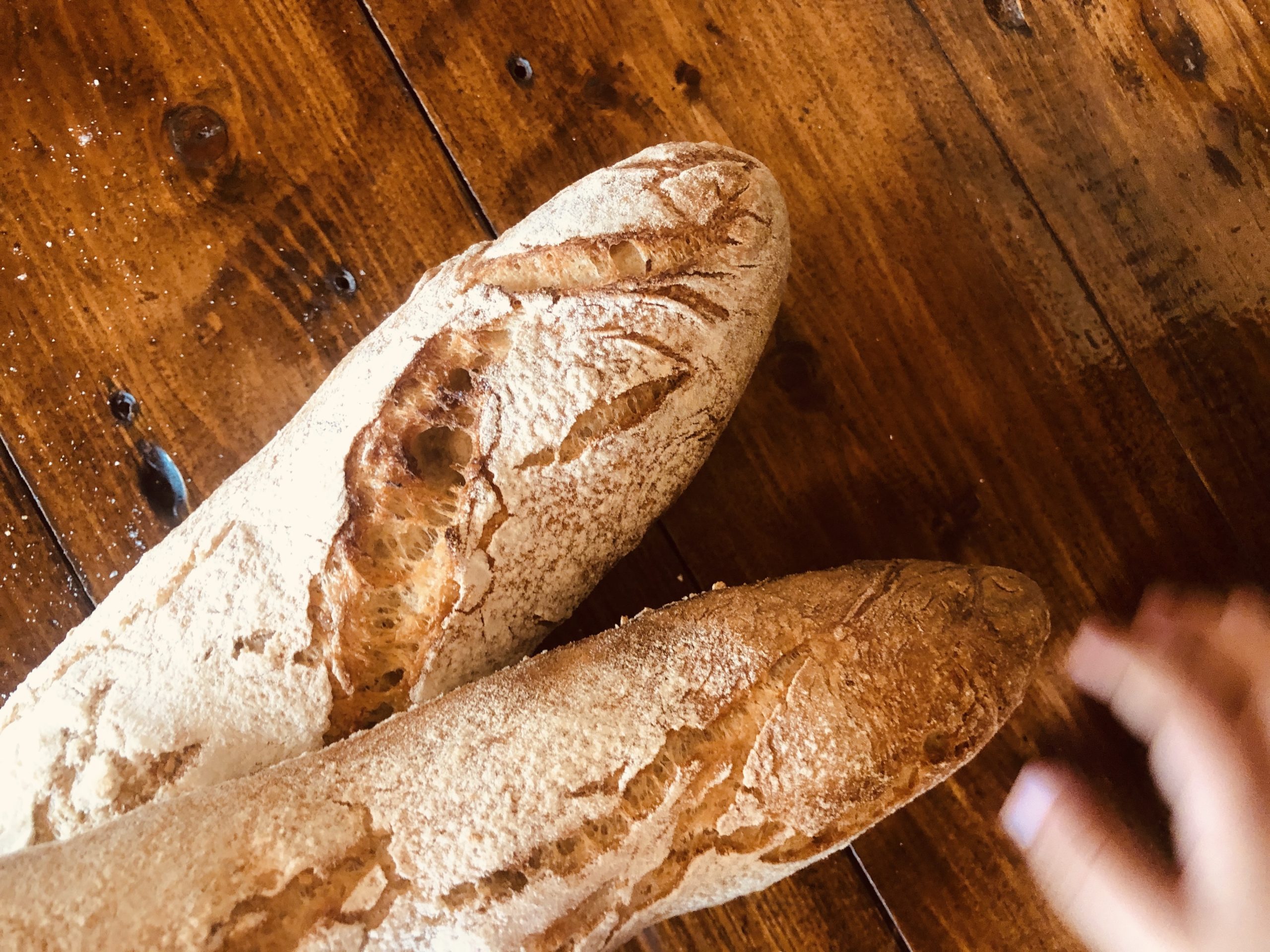 Recept za kruh od divljeg kvasca (sourdough) - Agroturizam Kalpic