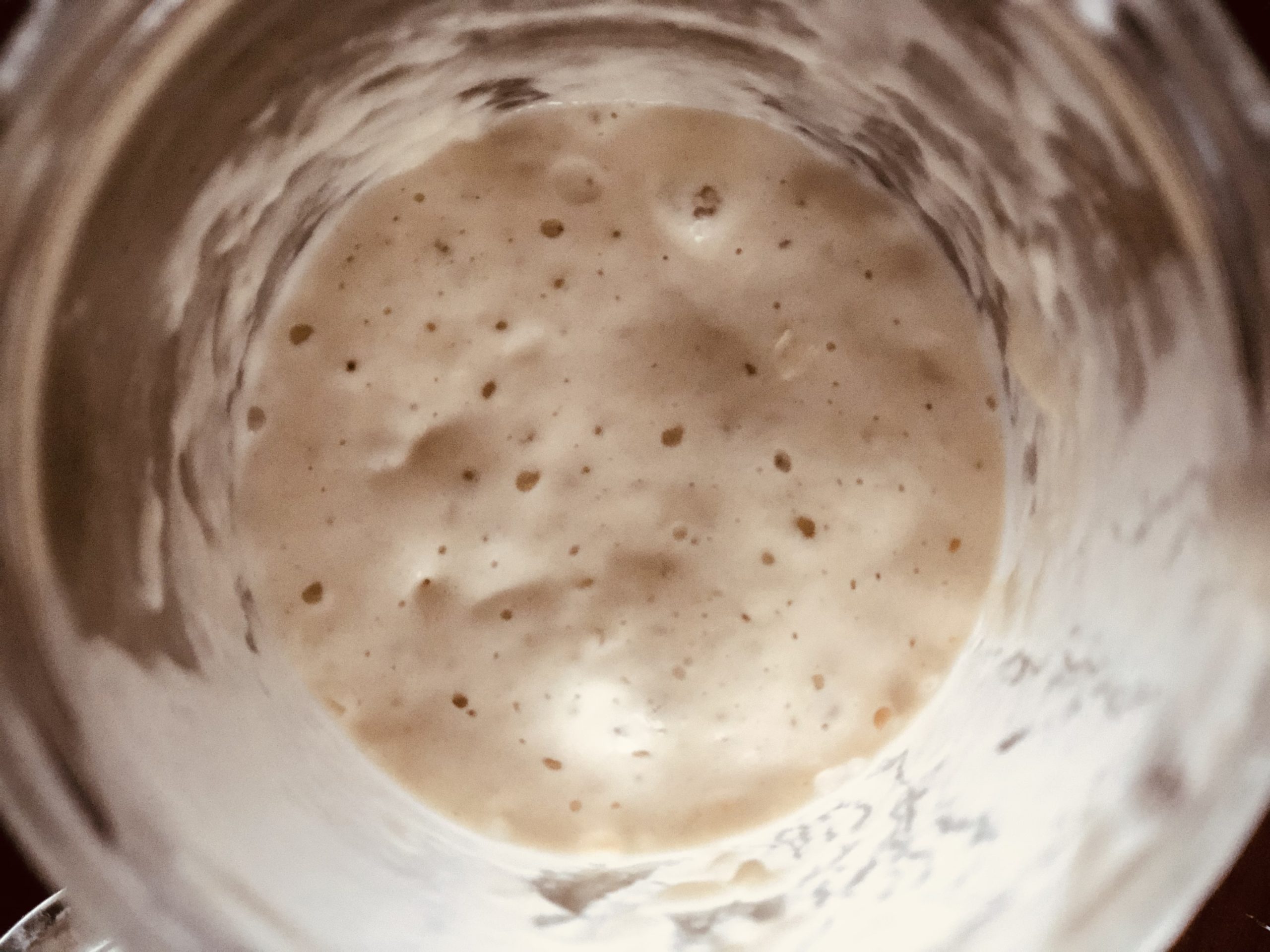 Recept za kruh od divljeg kvasca (sourdough) - Agroturizam Kalpic