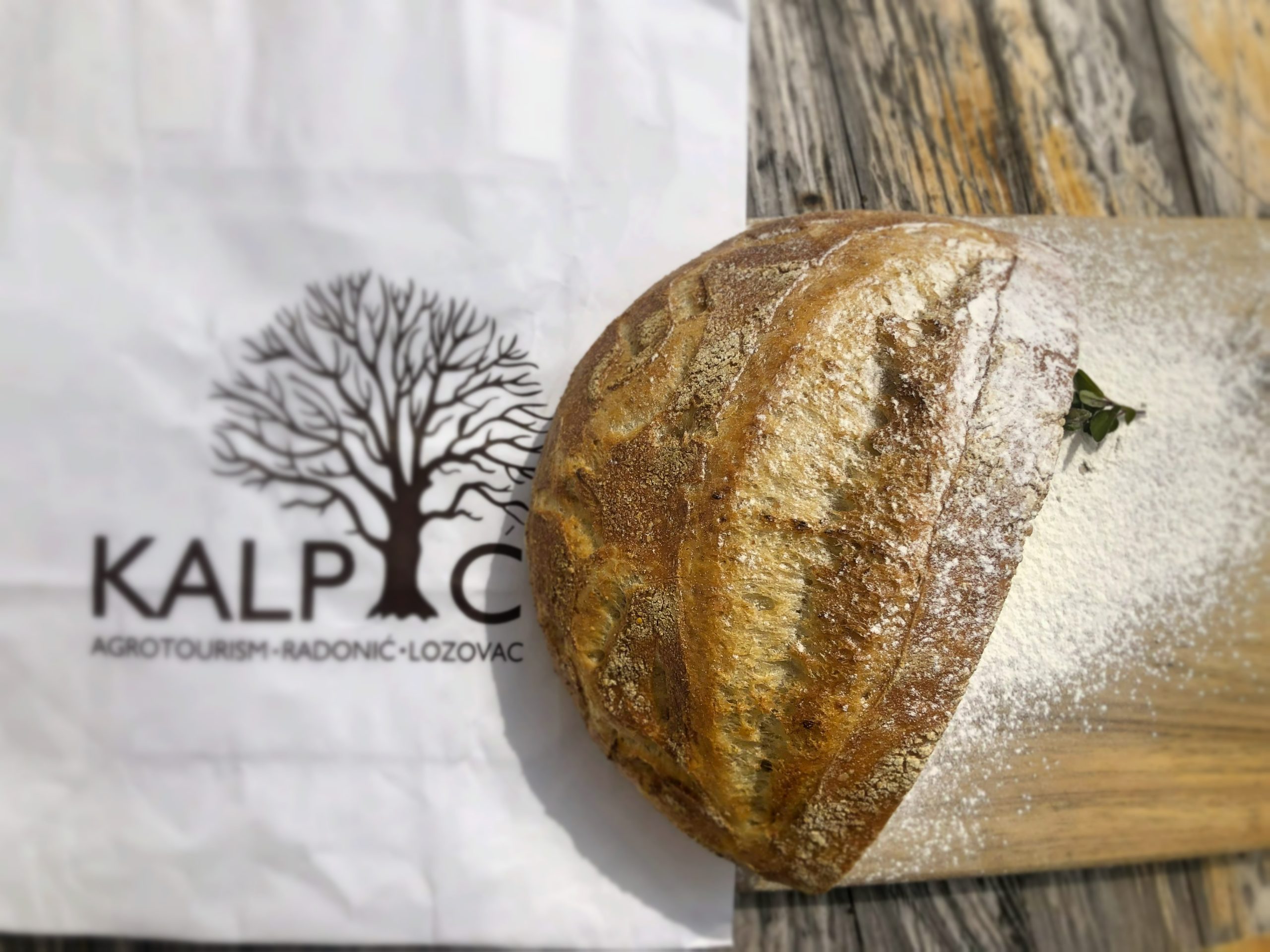 Recept za kruh od divljeg kvasca (sourdough) - Agroturizam Kalpic